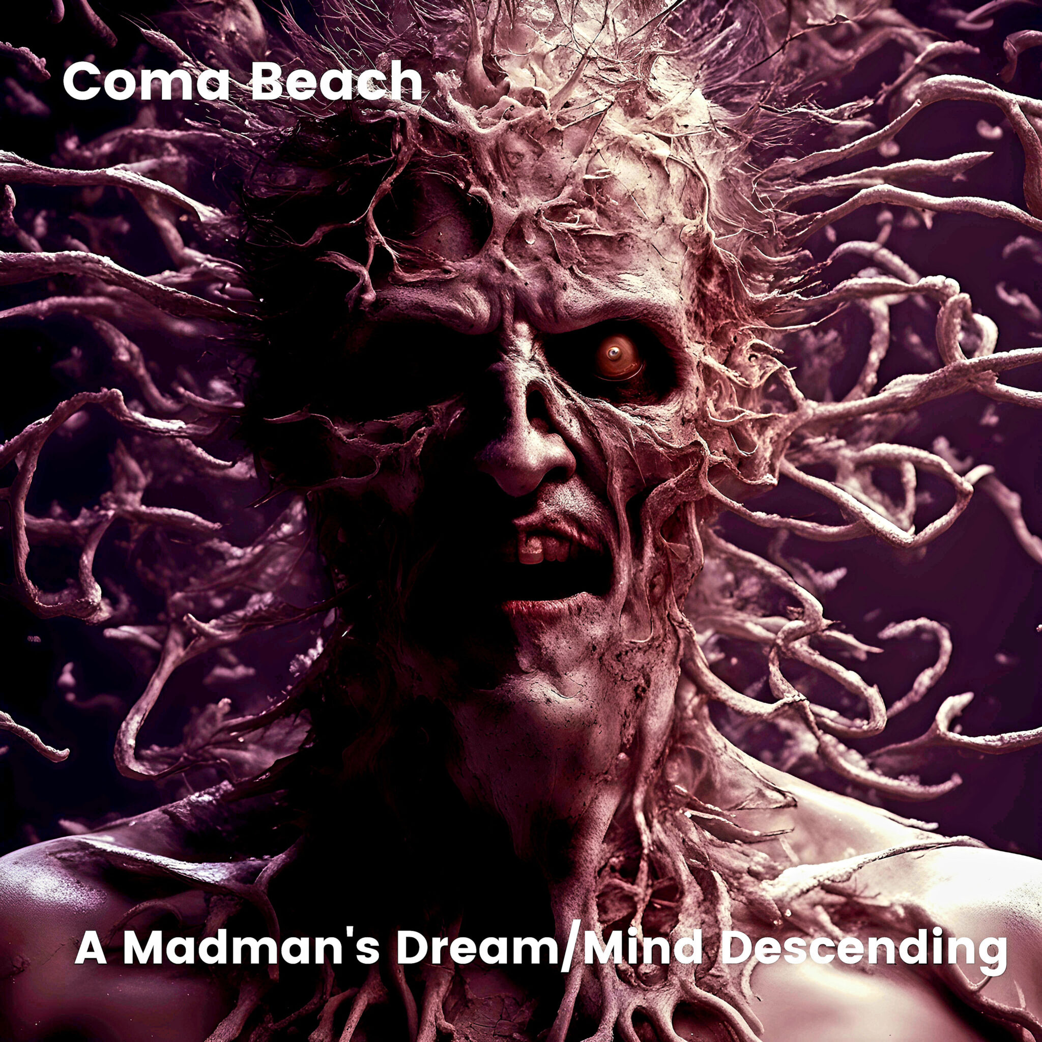 "A Madman's Dream/Mind Descending" de Coma Beach: Un viaje oscuro en el Punk Rock Alemán - La ...